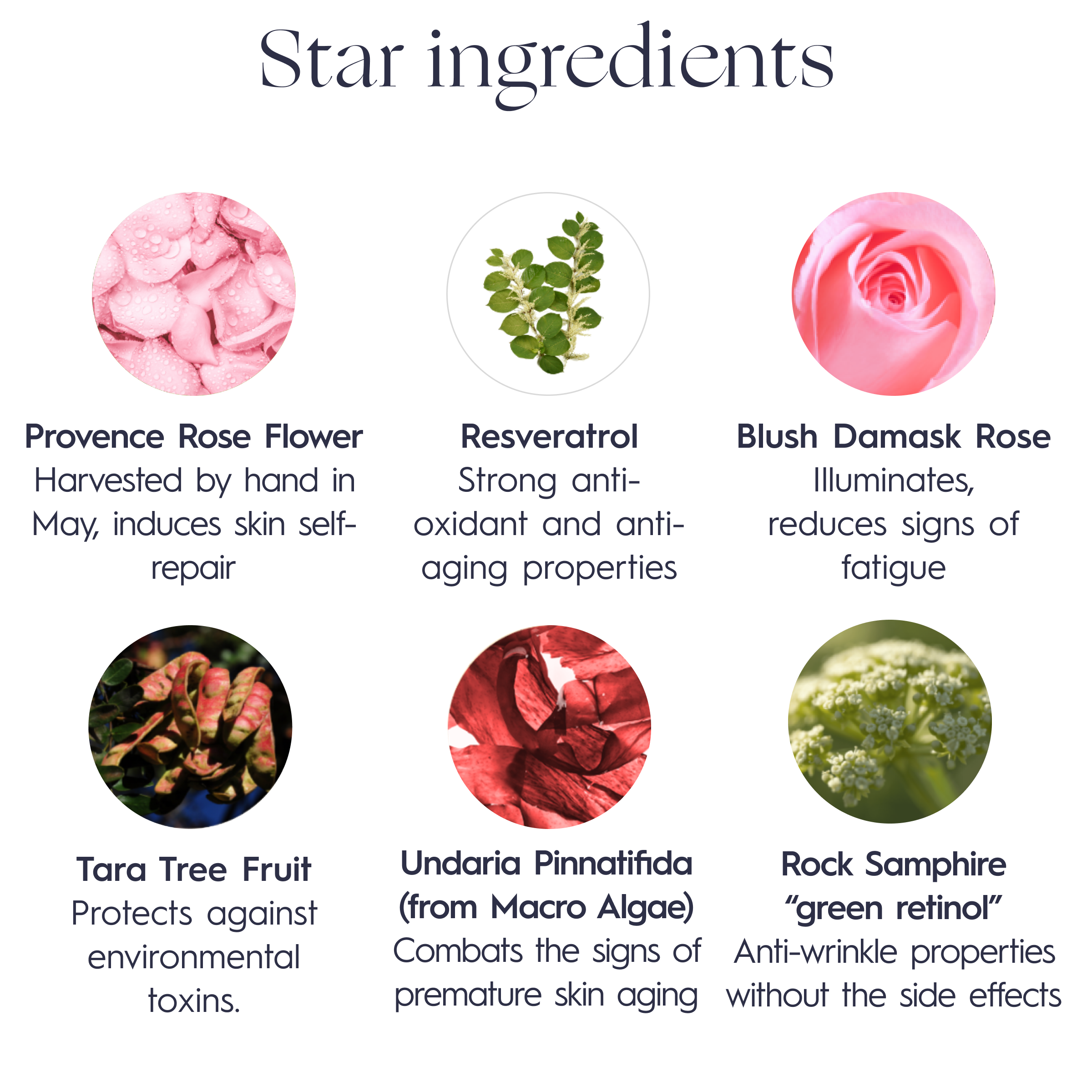 LIFT & GLOW Rose Serum - Verdilab